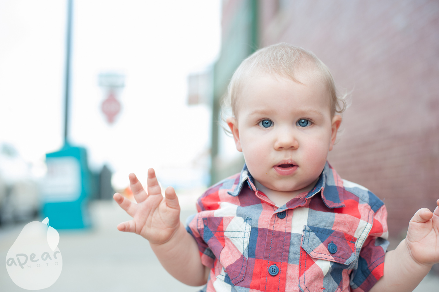 David 1 Year Session| Kansas City Kids Photography – aPear Photography