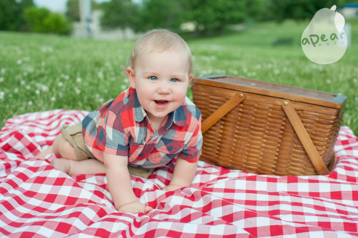 David 1 Year Session| Kansas City Kids Photography – aPear Photography